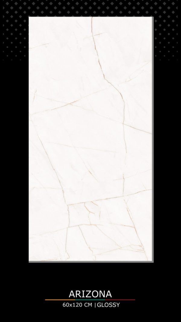 Porcelain tiles 60x120 cm (2'x4' size tiles)