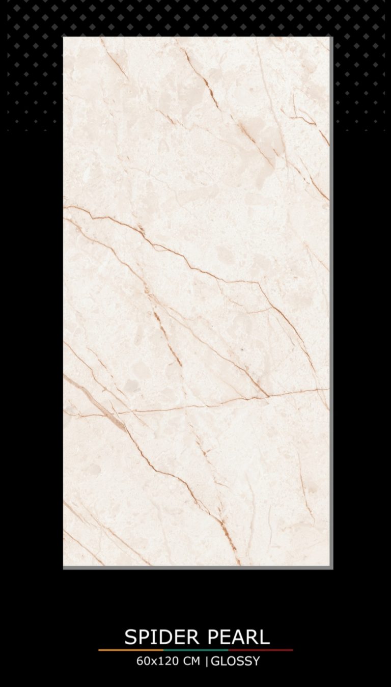 Porcelain tiles 60x120 cm (2'x4' size tiles)