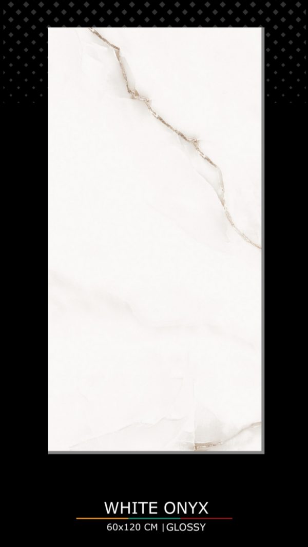 Porcelain tiles 60x120 cm (2'x4' size tiles)